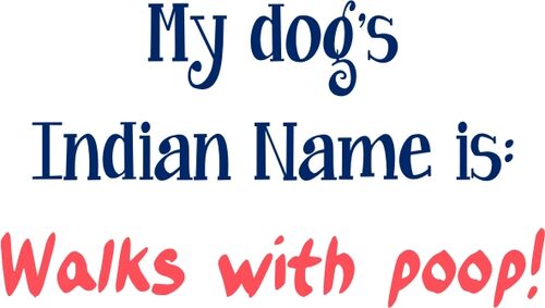 My dog’s Indian name is : Walks with poop! – Get Sassys